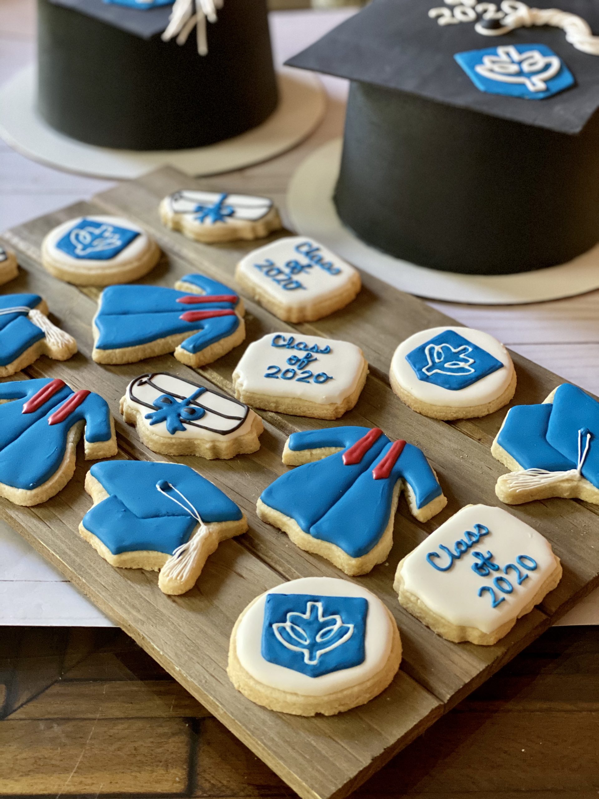 Custom Theme Decorated Butter Cookies | Believe Cakes